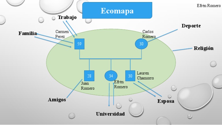 Ecomapa | PDF