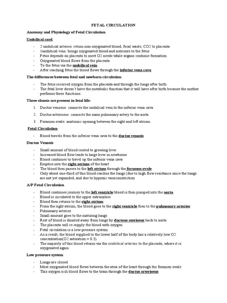 Fetal Circulation Anatomy and Physiology of Fetal Circulation Umbilical ...