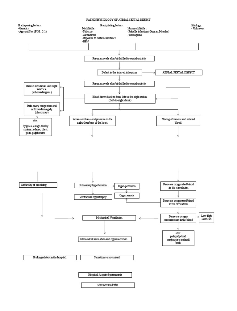 Pathophysiology Of Atrial Septal Defect Pdf Atrium Heart Thorax