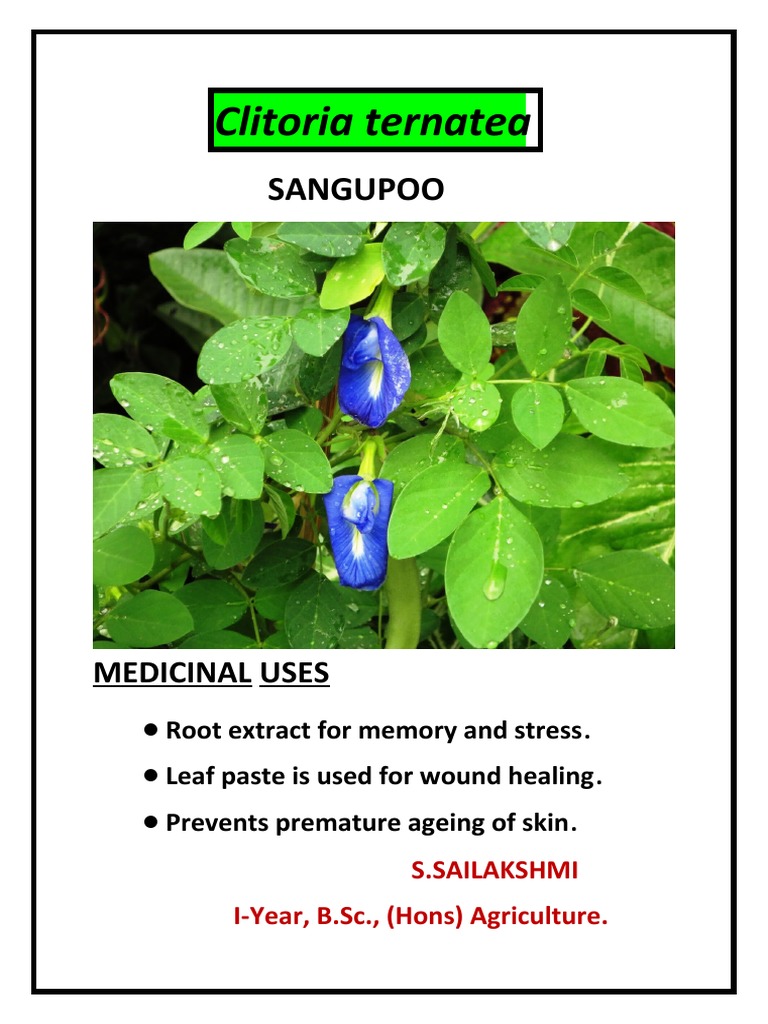 Sai Bic Assignment | PDF | Self-Improvement | Lifestyle