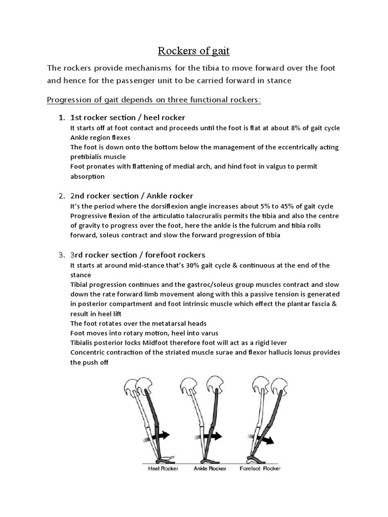 Rockers of Gait: 1. 1st Rocker Section / Heel Rocker | PDF