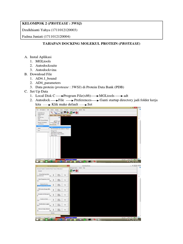 Laporan Docking | PDF | Docking (Molecular) | Ligand (Biochemistry)