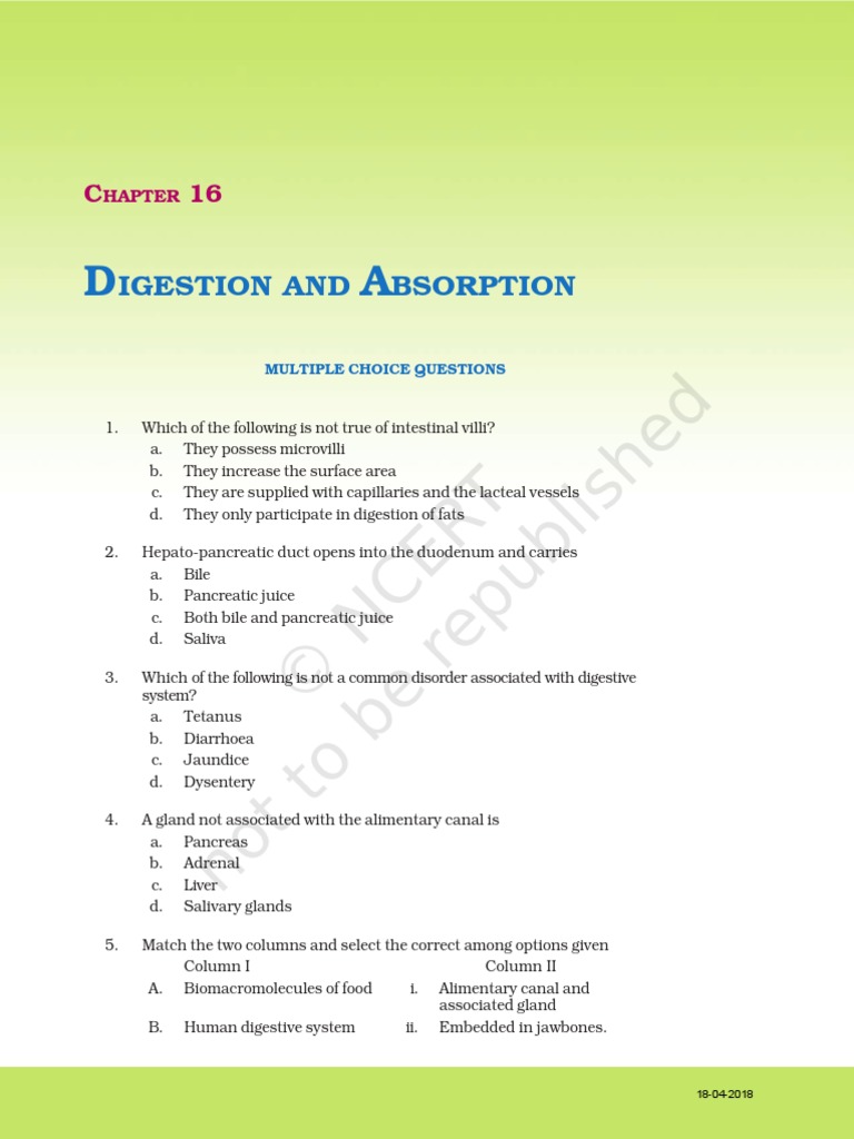 Biology Digestive System Quiz | PDF | Digestion | Gastrointestinal Tract