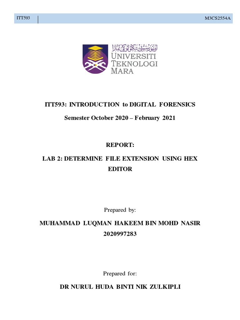 Itt593-Lab 2 File Extension - HEX EDITOR | PDF | Operating System Families | Microsoft Windows