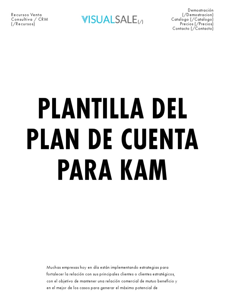 Plan de Cuenta KAM - VisualSale Software de CRM | PDF | Gestión de la ...