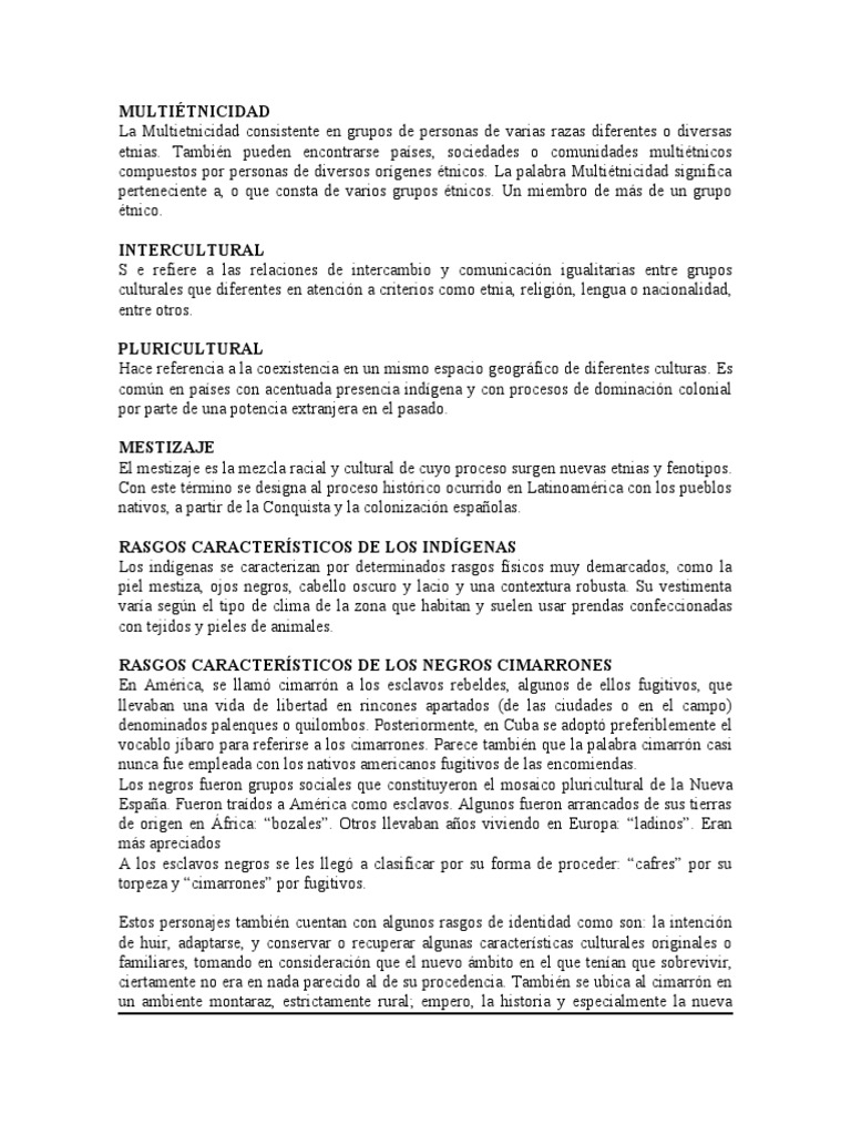 MULTIÉTNICIDAD | PDF | Grupos étnicos | Métis