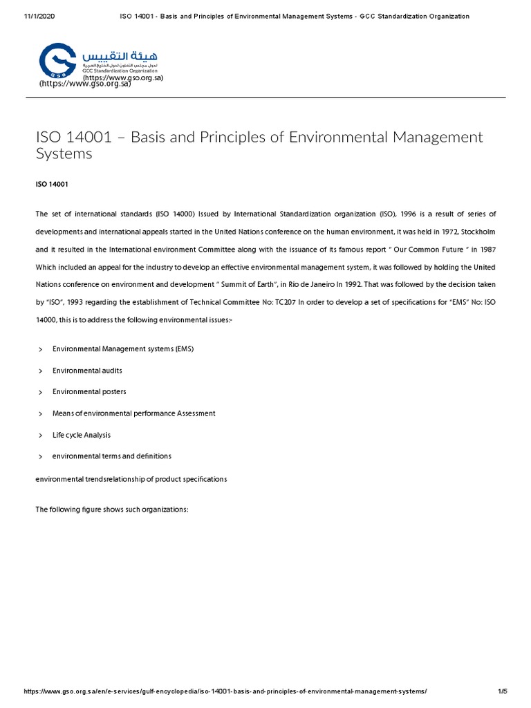 ISO 14001 - Basis and Principles of Environmental Management Systems ...