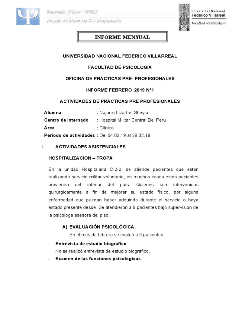 INFORME-MES-DE-ENERO-2019-SHEYLA - APROBADO Final | PDF | Psicoterapia | Hospital