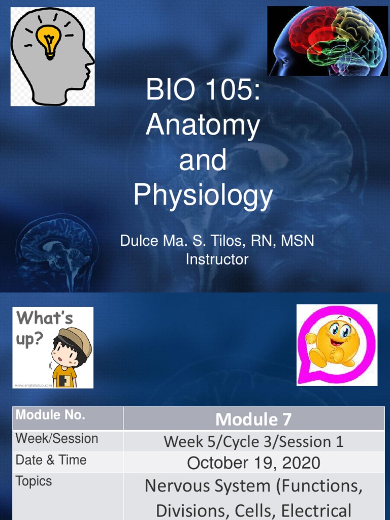 Nervous System Session 1 | PDF | Action Potential | Axon
