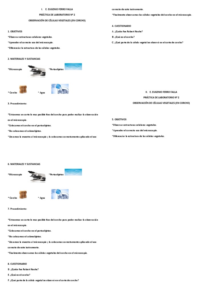 Observación de Células de Corcho al Microscopio | PDF | Microscopio ...