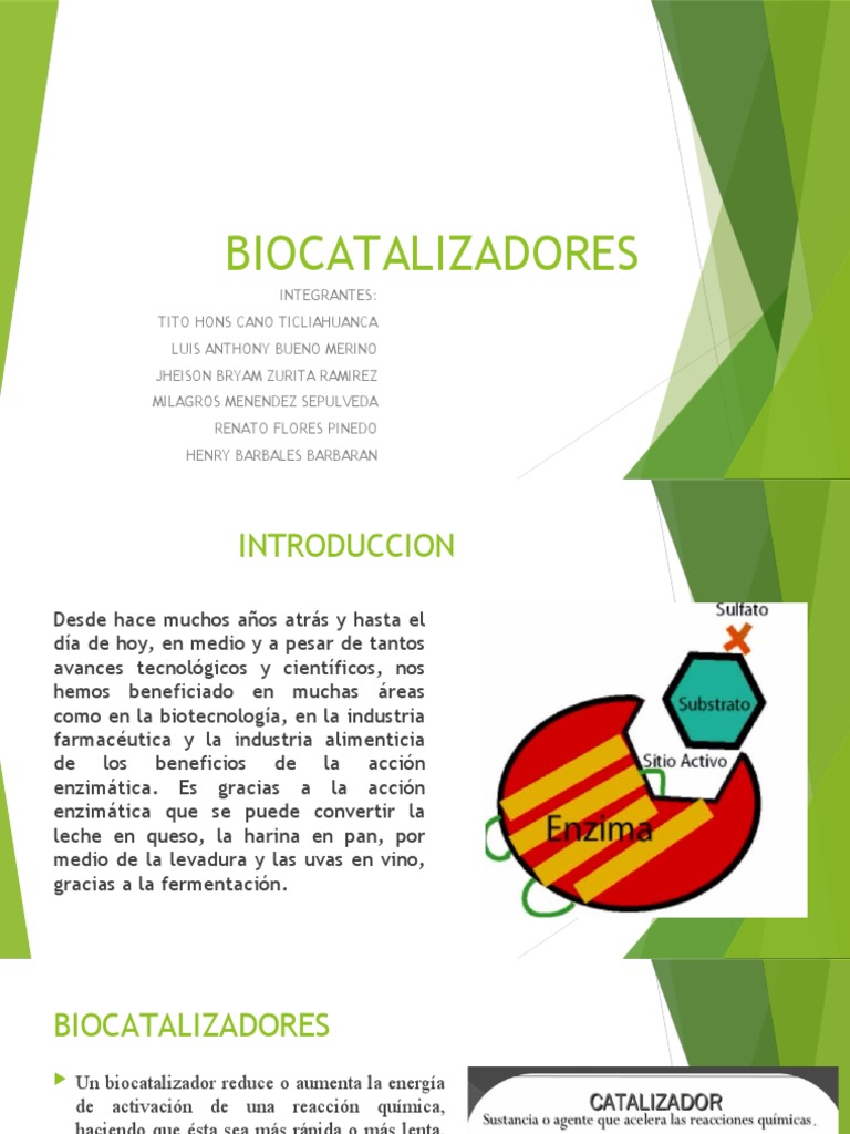 Biocatalizadores | PDF | La cinética de enzimas | Enzima