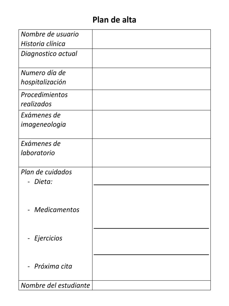 Formato Plan de Alta | PDF