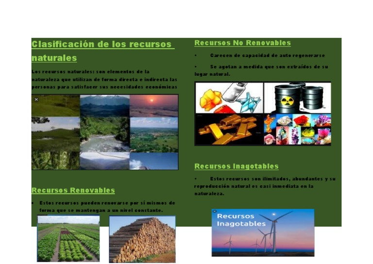 Clasificación de Los Recursos Naturales INFOGRAFIA | PDF