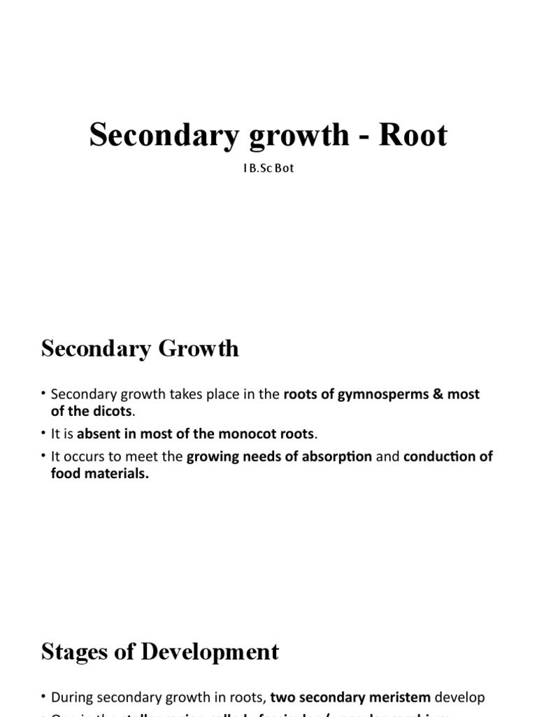 I B.SC Botany - Root Secondary Growth | PDF | Plant Stem | Root