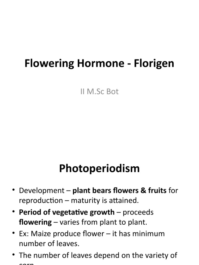 Flowering Hormone - Florigen II M.SC Bot | PDF | Flowers | Horticulture ...