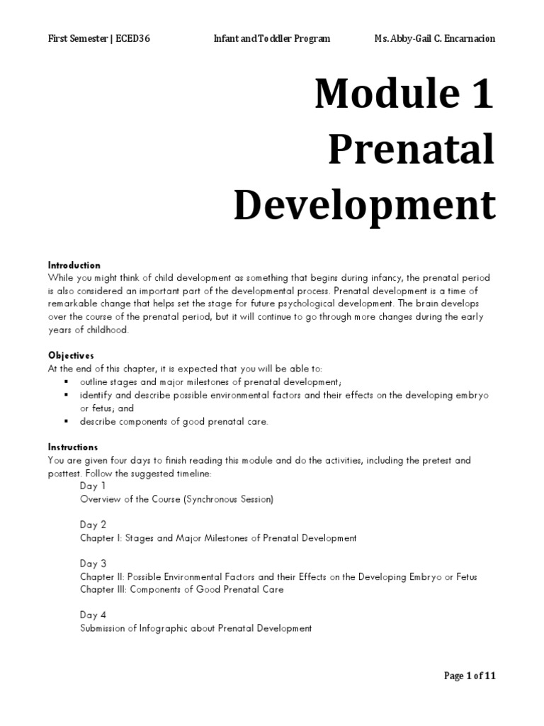 Prenatal Development Guide | PDF | Prenatal Development | Fetus