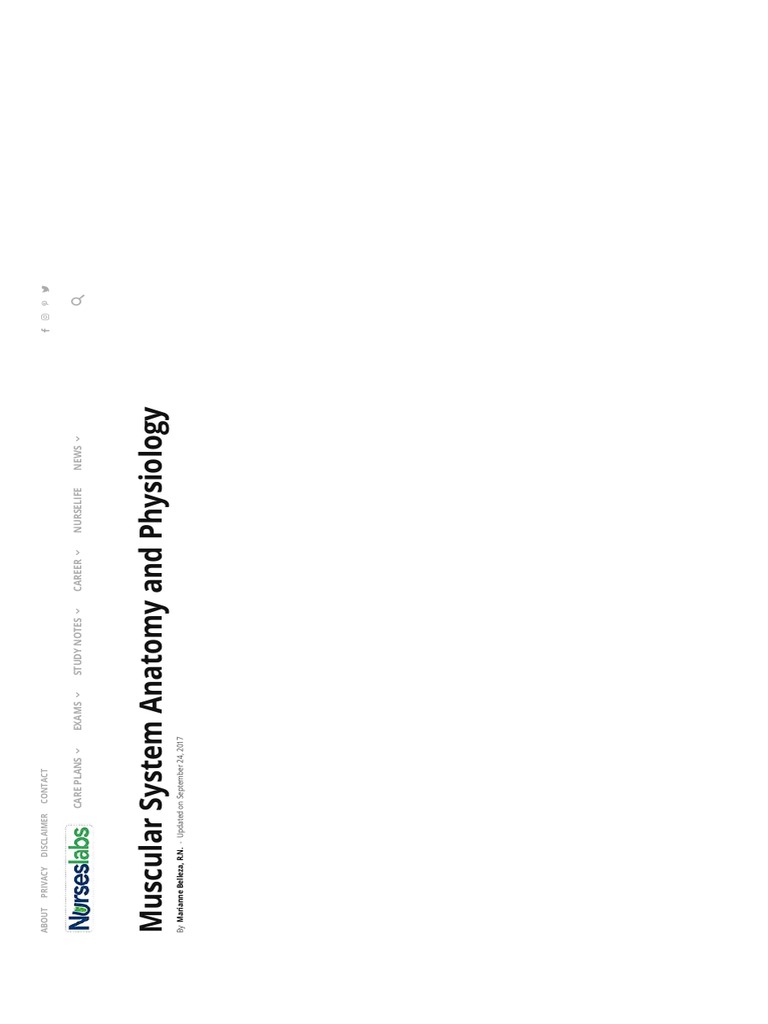 Muscular System Anatomy and Physiology - Nurseslabs | PDF | Human Leg ...