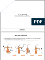 Open and Closed Packed Positions of Joints | PDF | Anatomical Terms Of ...