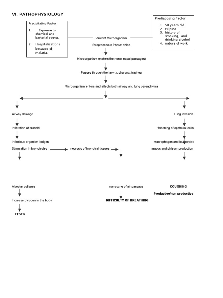 CAP - Patho Diagram | PDF | Respiratory Tract | Pneumonia