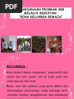 MATERI Bina Keluarga Lansia (BKL) | PDF