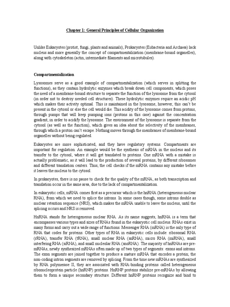 Chapter 1: General Principles of Cellular Organization | PDF | Rna ...