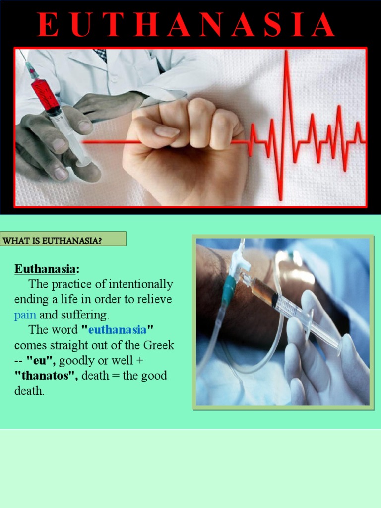 Euthanasia Cloning | PDF | Cloning | Applied Ethics