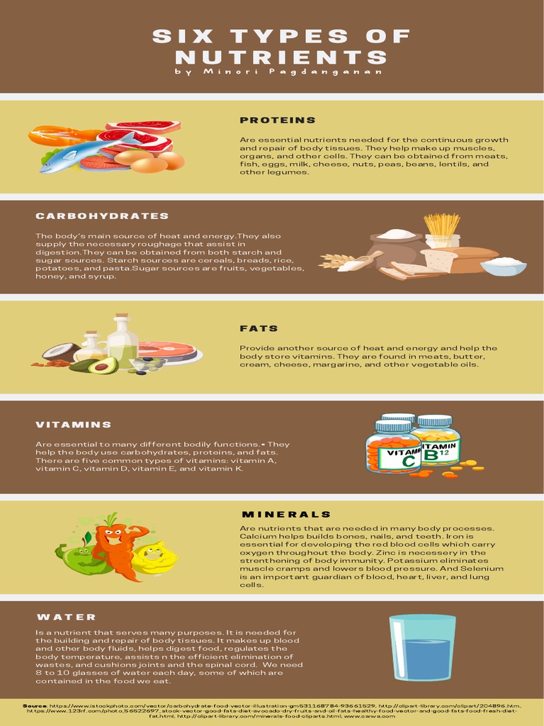 Six Types of Nutrients | PDF | Human Body | Nutrients