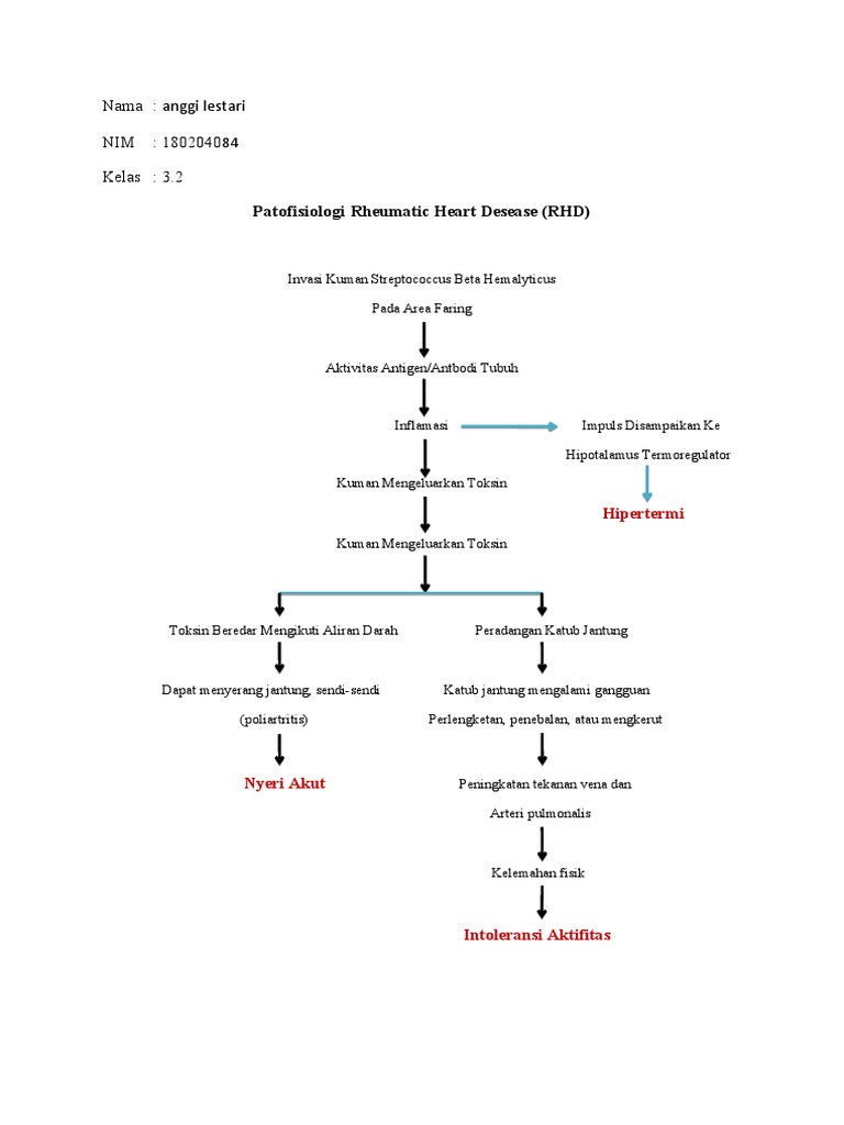 Diagram Patofisiologi RHD | PDF