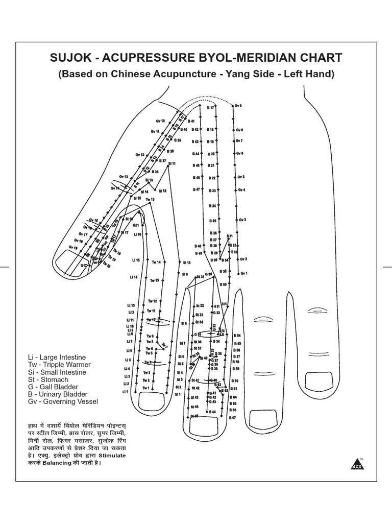 Byol Maridian Chart PDF | PDF | Gastroenterology | Digestive System