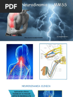 PROTOCOLO EVALUACIÓN FUERZA MUSCULAR - Escala Medical Research Council ...