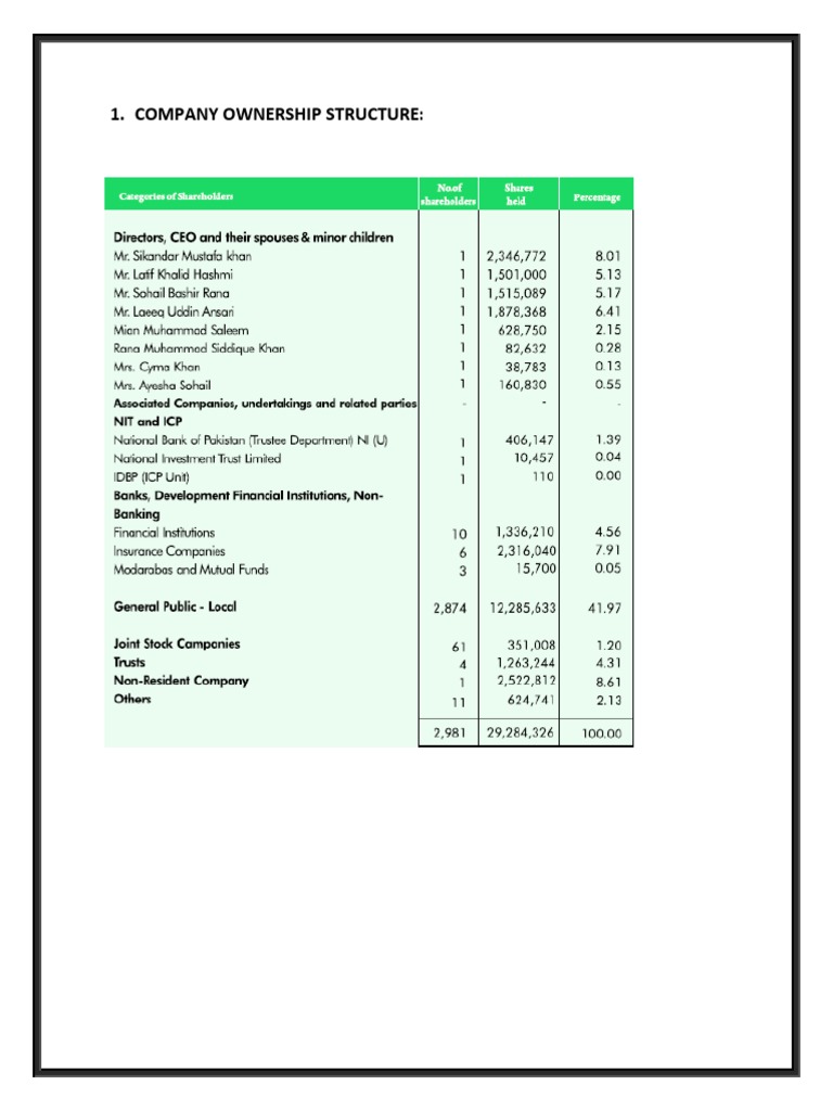 Company Ownership Structure | PDF | Dividend | Depreciation