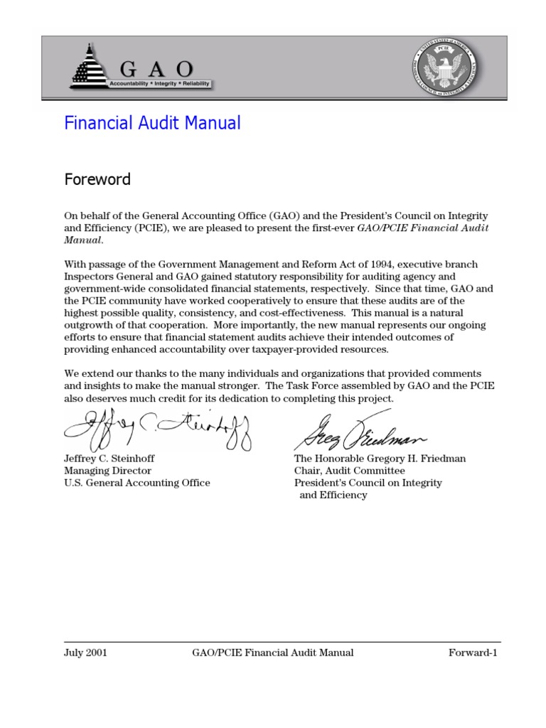 Financial Internal Audit | PDF | Internal Control | Financial Audit