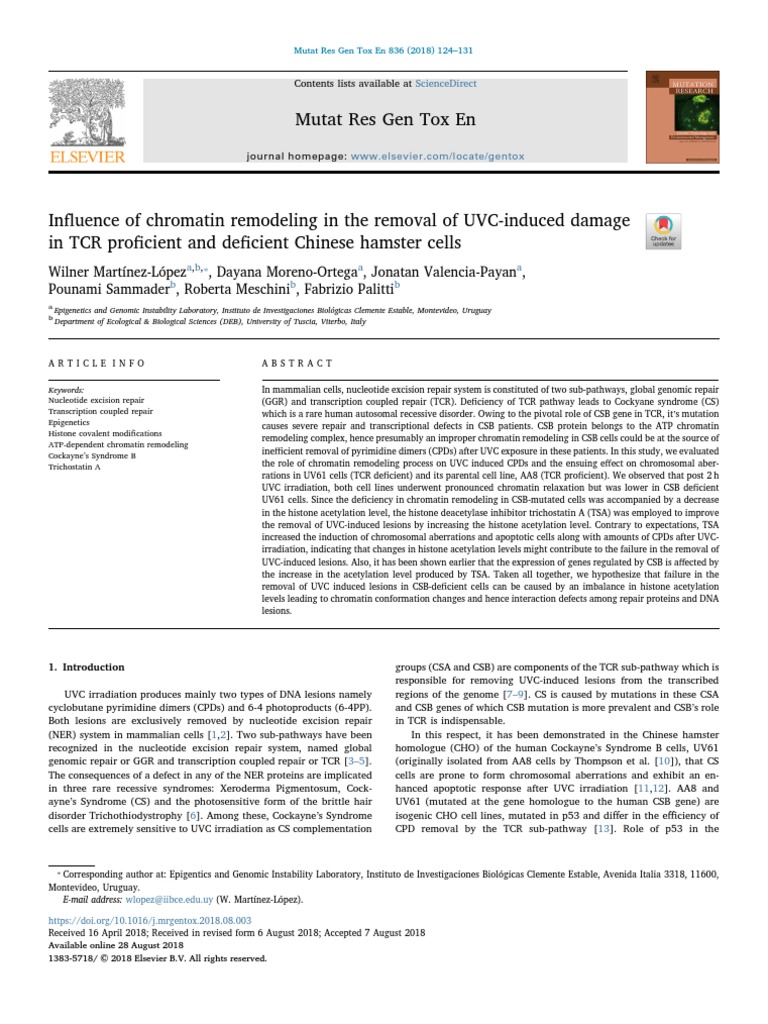 Mut Research 2018 | PDF | Dna Repair | Chromatin