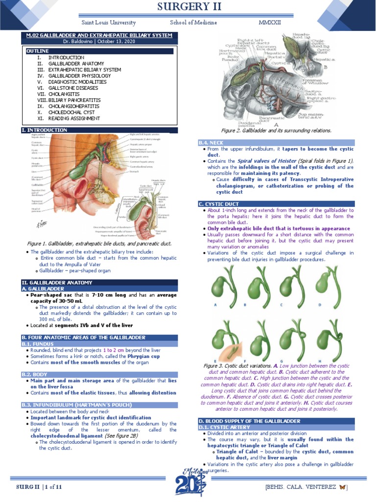 Saint Louis University School of Medicine Mmxxii: Dr. Baldovino ...