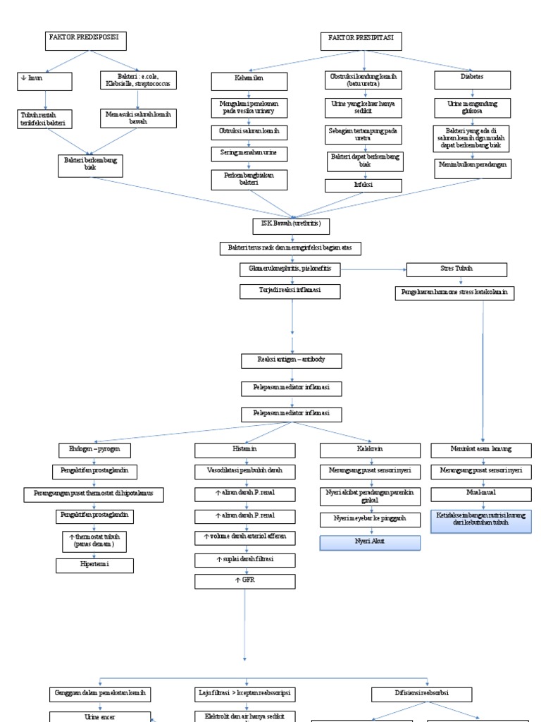 Konsep Map Isk | PDF