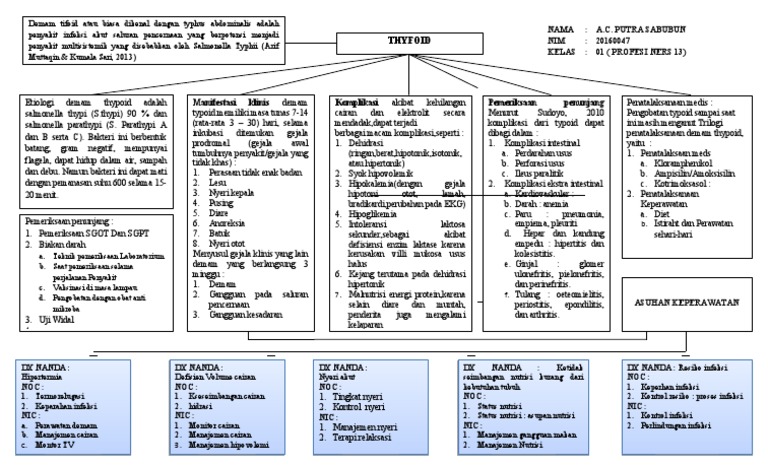 KONSEP MAP Typhoid | PDF