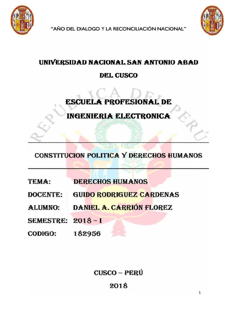 MONOGRAFIA DDDHH Final | PDF | Derechos humanos | Derechos