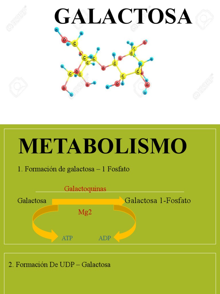 Galactosa Pdf
