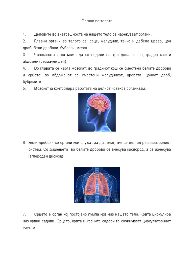 Organi Vo Teloto | PDF