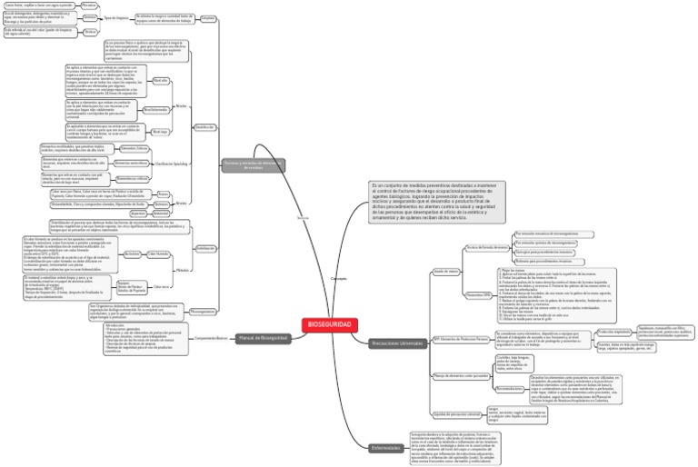 Semana2 - Evidencia2 Mapa Conceptual - Bioseguridad | PDF | Lavado de manos | Esterilización ...
