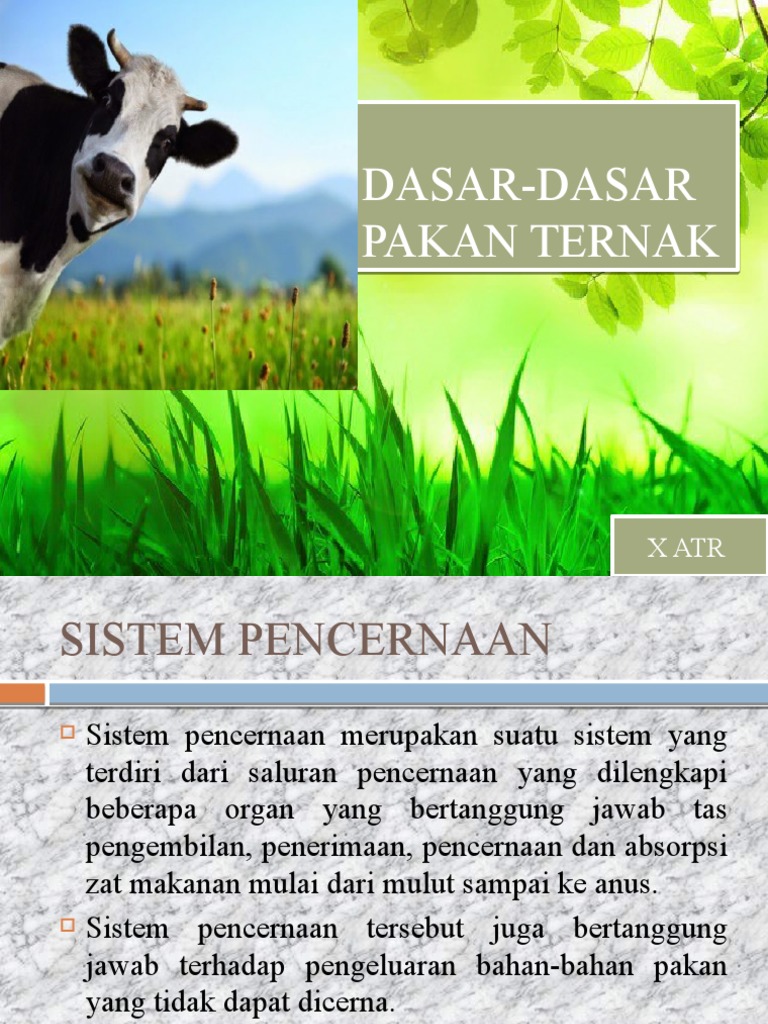 Dasar-Dasar Pakan Ternak | PDF