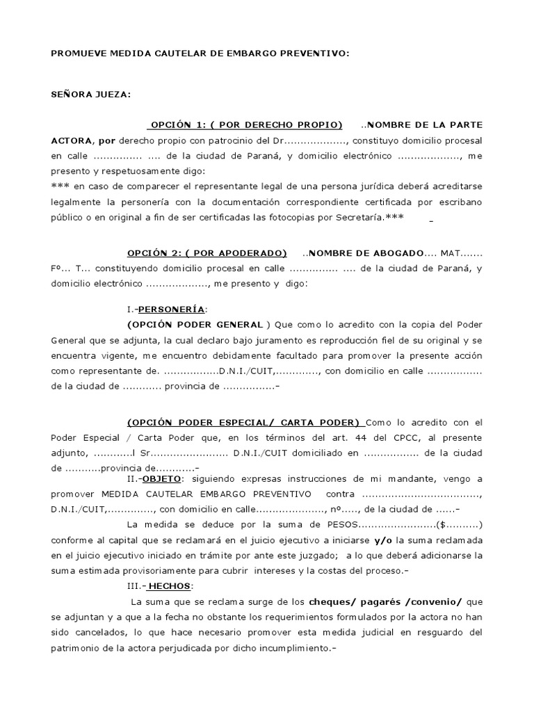 Solicitud de Embargo Preventivo | PDF | Mandato | Justicia
