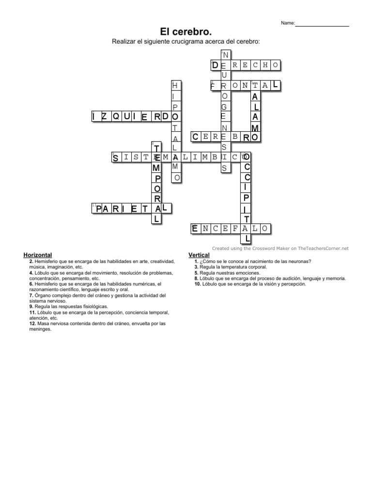 Crucigrama El Cerebro | PDF | Hemisferio cerebral | Cerebro