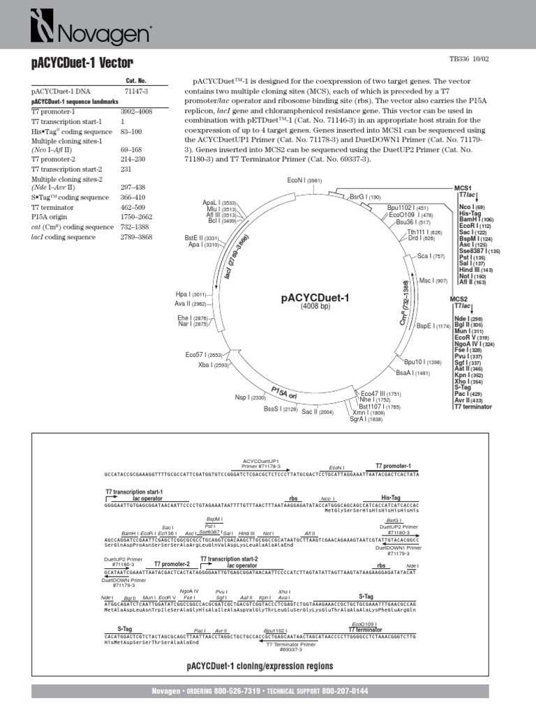 PACYC Map | Download Free PDF | Vector (Molecular Biology) | Molecular ...