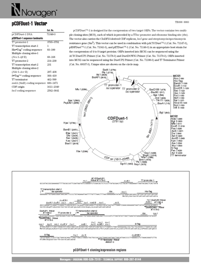pCDFDuet-1 Map PDF | PDF | Vector (Molecular Biology) | Molecular Cloning