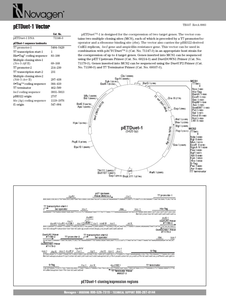 pETDuet 1 PDF | PDF | Vector (Molecular Biology) | Molecular Cloning