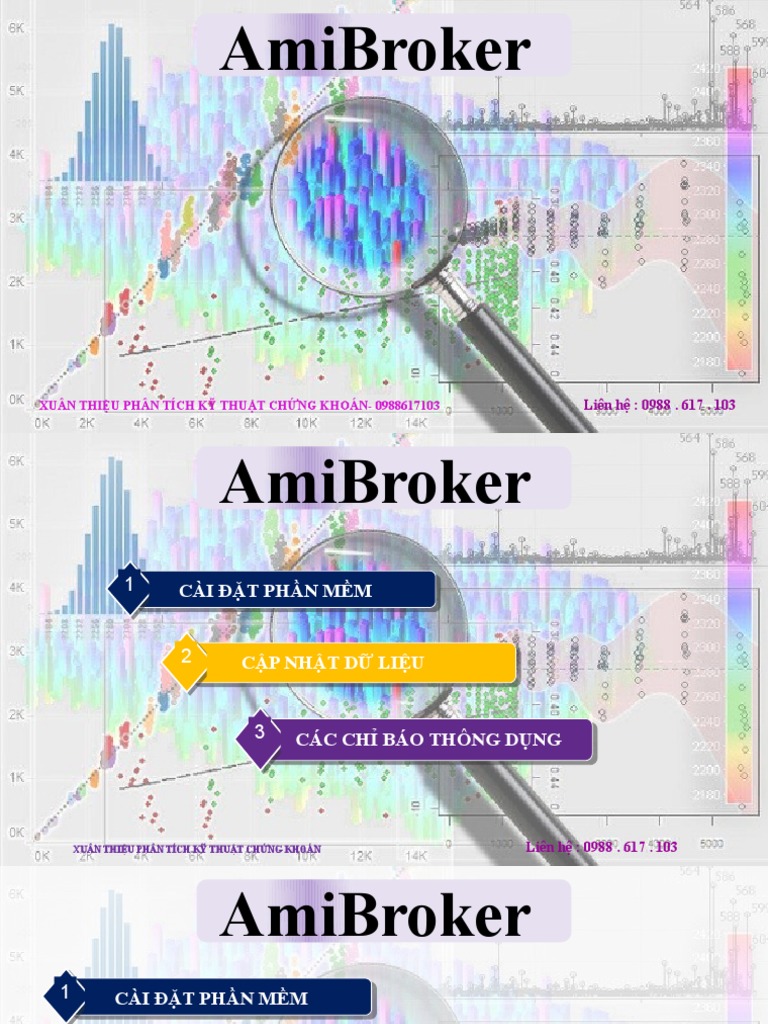 HƯỚNG DẪN CÀI ĐẶT VÀ SỬ DỤNG AMIBROKER | PDF