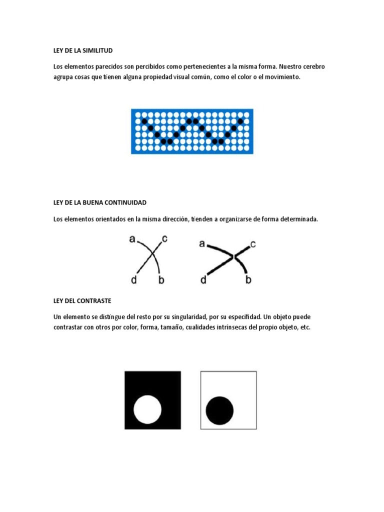 Ley de La Similitud | PDF
