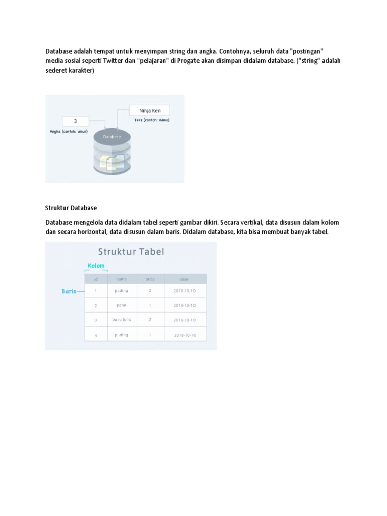 Database Adalah Tempat Untuk Menyimpan String Dan Angka | PDF