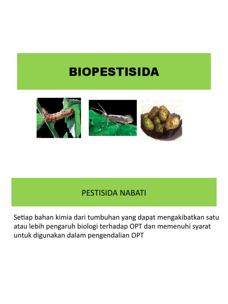 Biopestisida: Solusi Ramah Lingkungan | PDF | Griya & Taman | Kesehatan ...